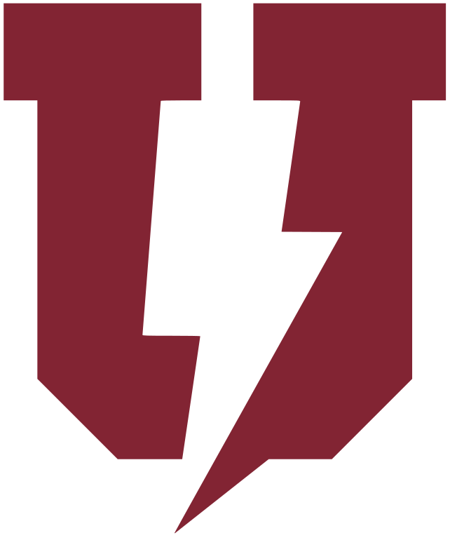 Union Garnet Chargers – College Hockey History